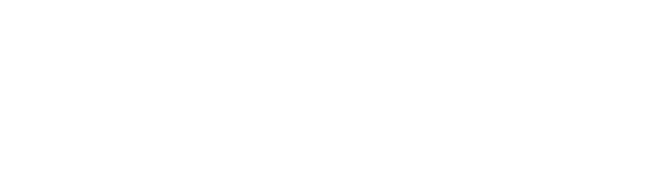 Attorneys – Legal Scale LLP